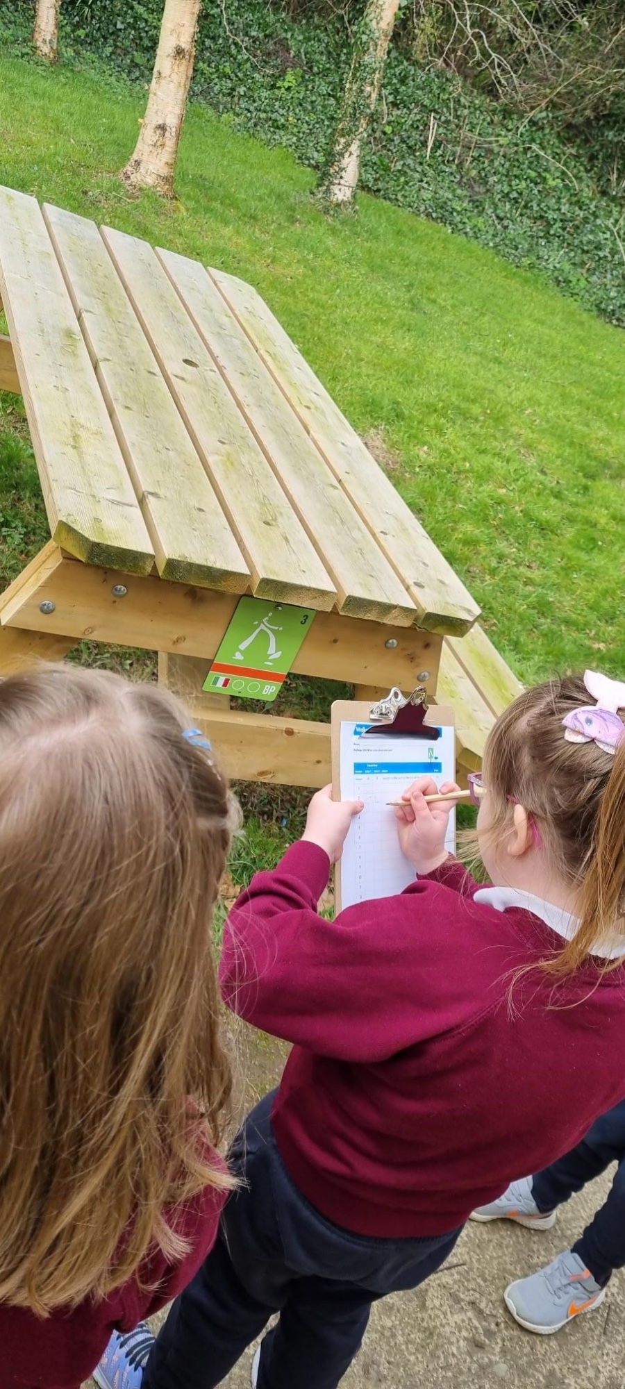 Active Flag - Kilcurry National School