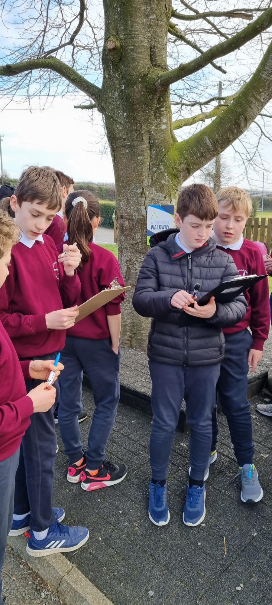 Active Flag - Kilcurry National School